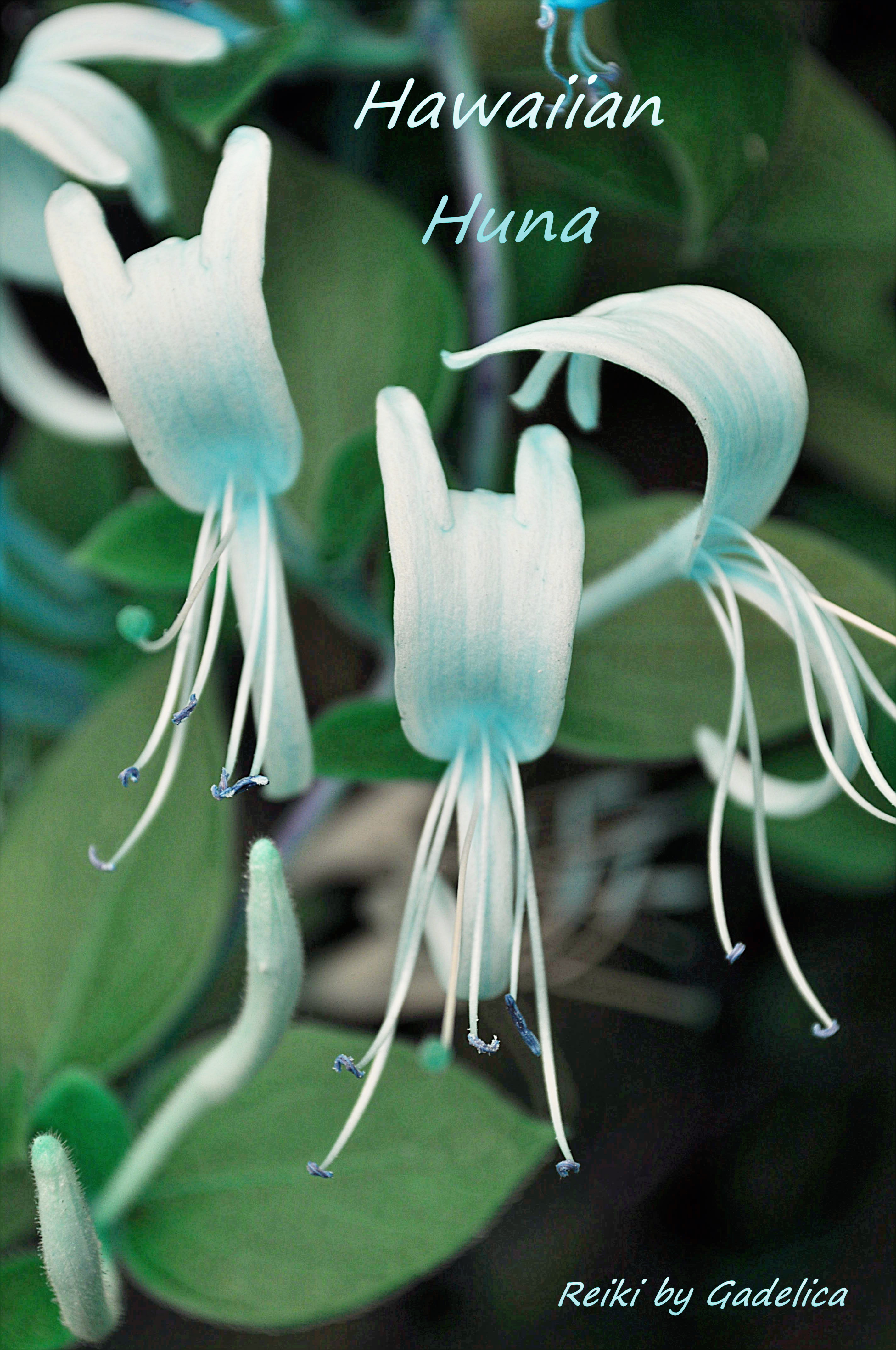 Hawaiian Huna Reiki | Esoterik Fachgeschäft